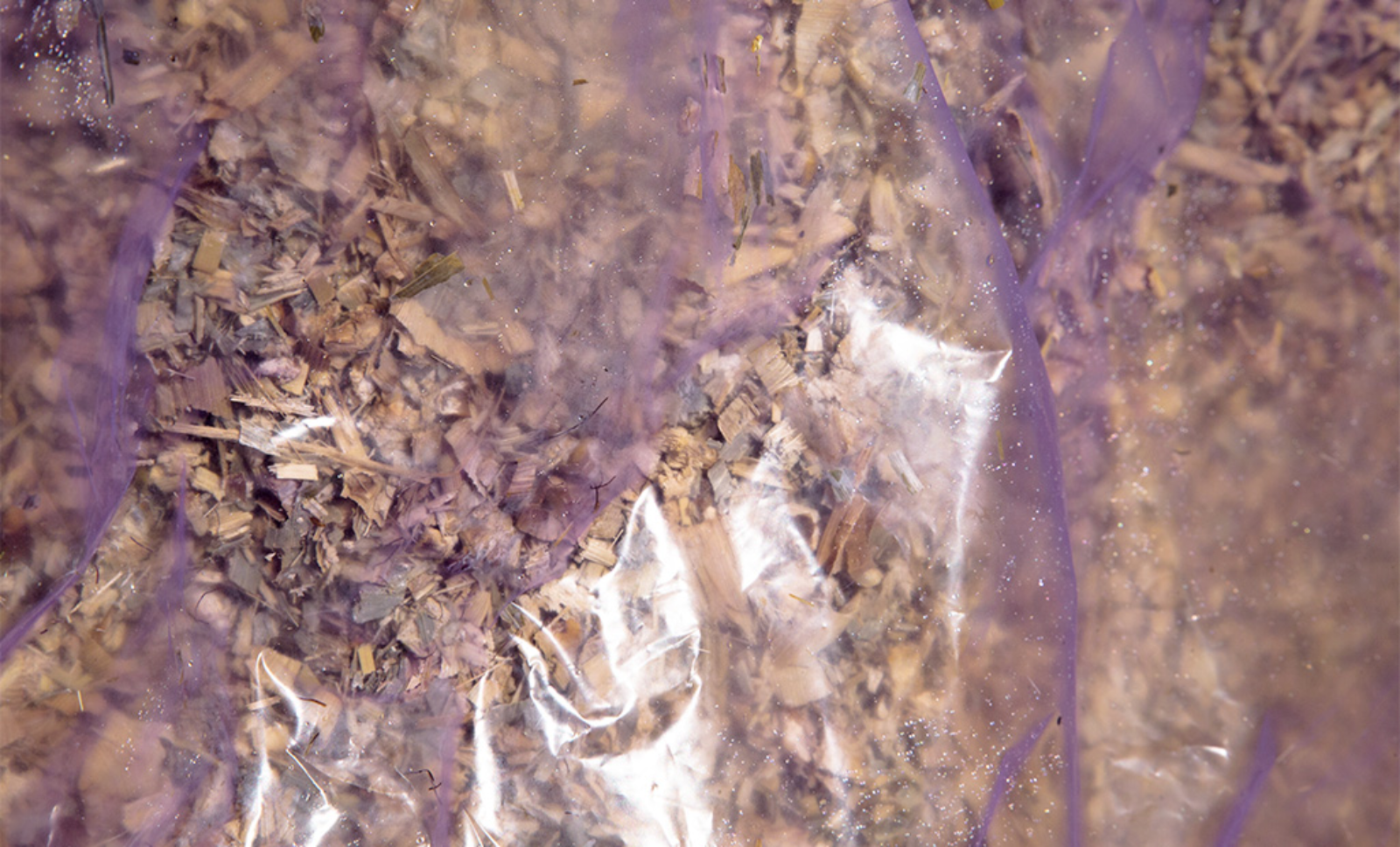 Underlay film agrifol | 6 x 50 | 132833